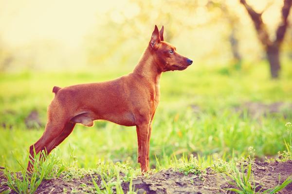 The record shows I took the OFFICIAL, and did it 24/365! > General ...